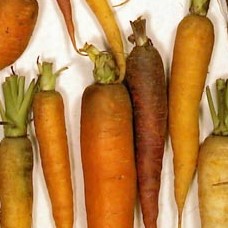 Coloring for butter and margarine – Océ Museum