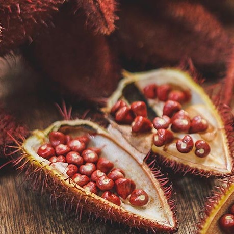 Coloring for butter and margarine – Océ Museum